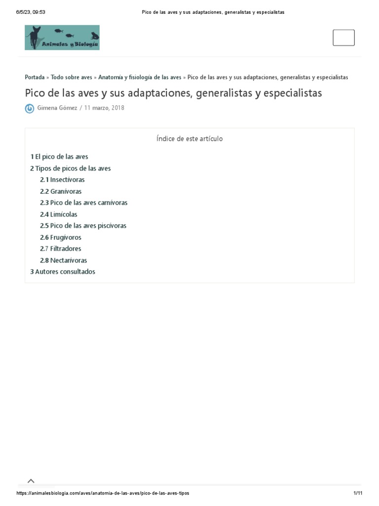 Tipos y adaptaciones del pico de aves | PDF