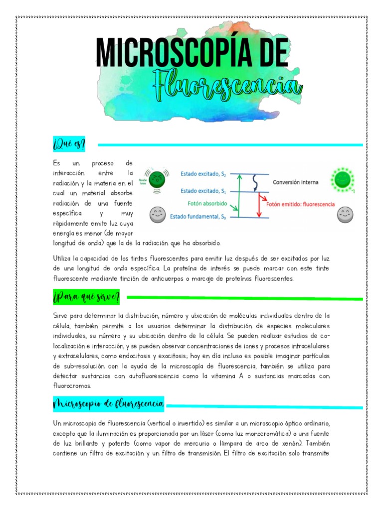 Microscopía de Fluorescencia: Proceso y Usos | PDF