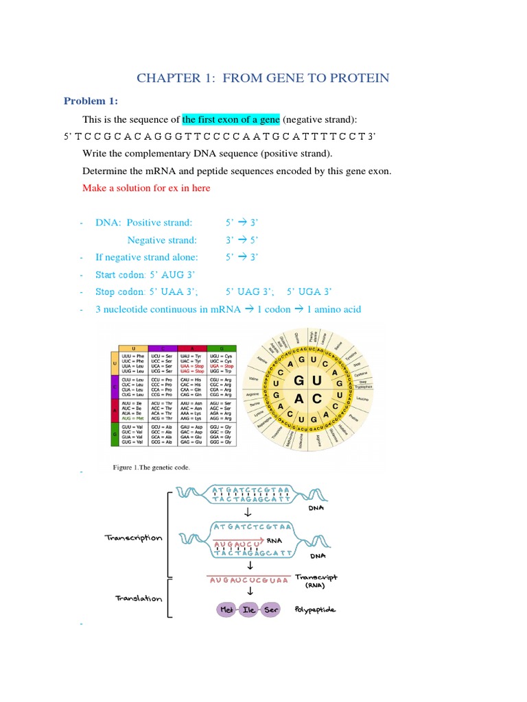 Tutorial Solution Chapter 1+2+3 | PDF | Teaching Methods & Materials ... Tutorial Solution Chapter 1+2+3 | PDF | Teaching Methods & Materials ...