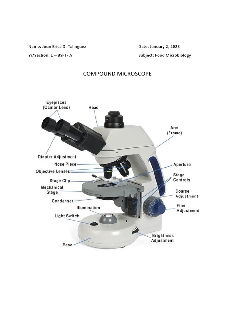 microscope.docx | PDF