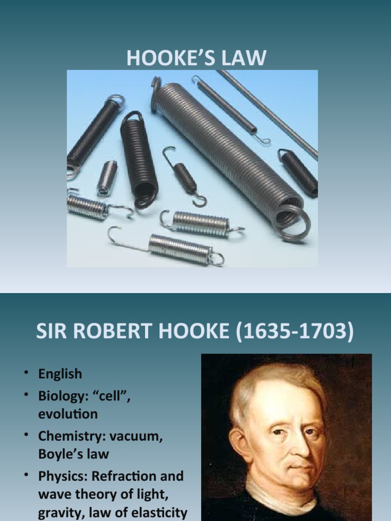 Hookes Law | PDF