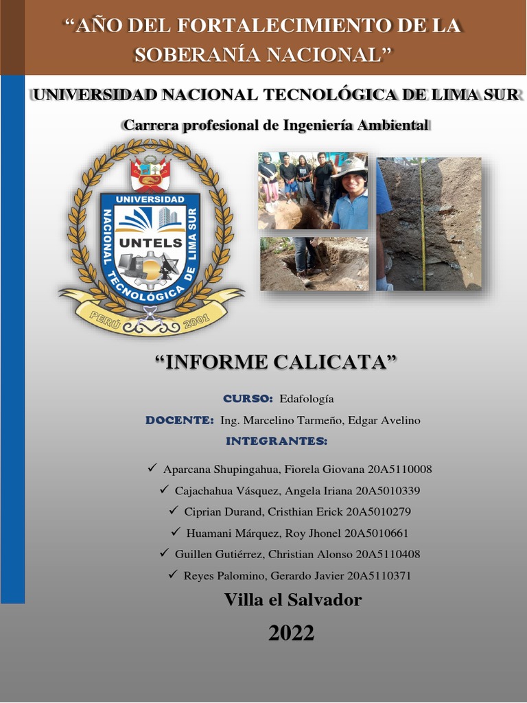 Informe Calicata | PDF | Suelo | Roca (geología)