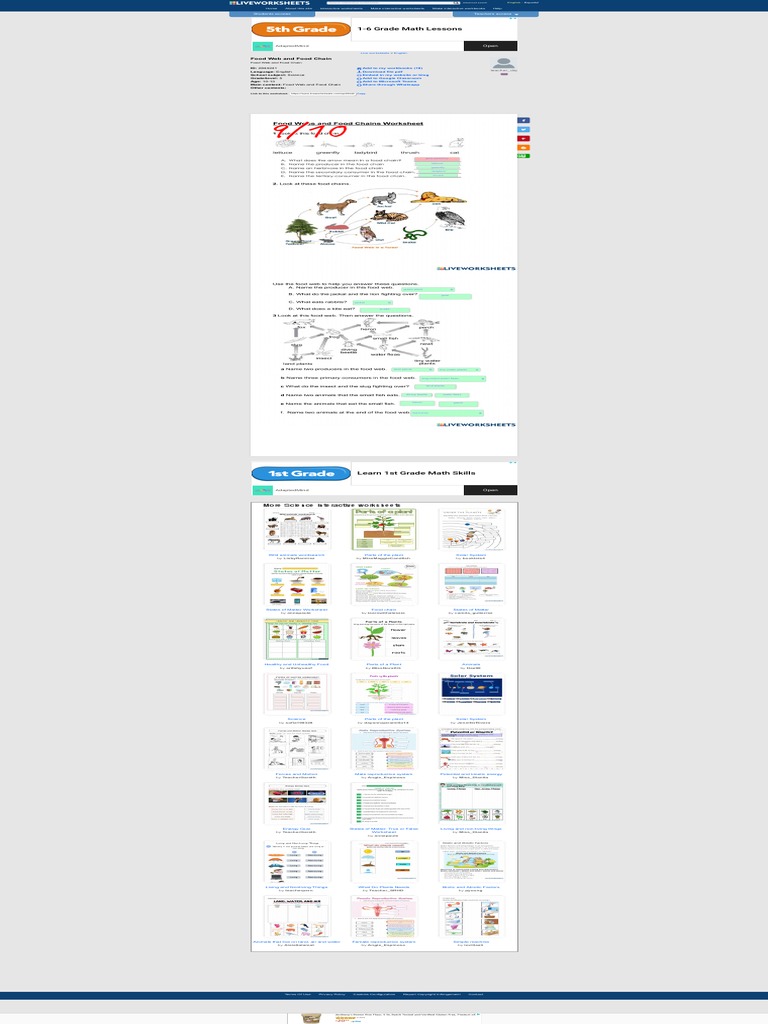 Food Web And Food Chain Worksheet Pdf Pdf