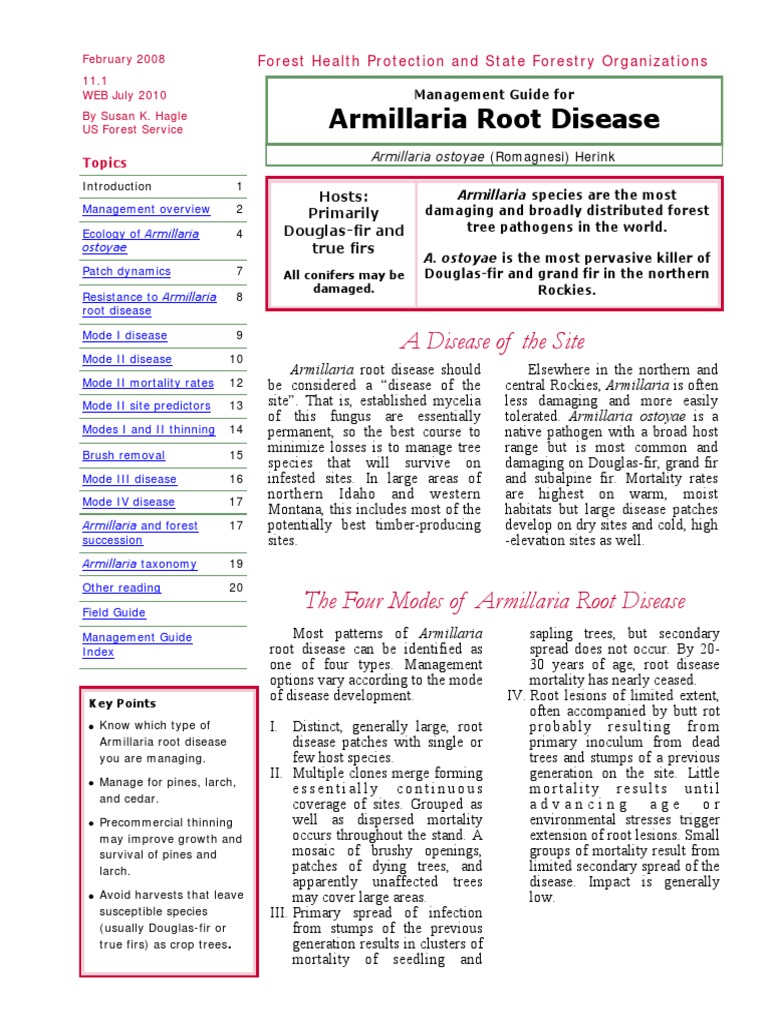 Armillaria Root Disease (Root Rot) PDF | PDF