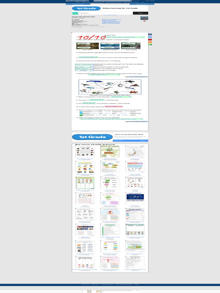 Aquatic Life and Food Webs Worksheet PDF | PDF | Worksheet | Aquatic ...