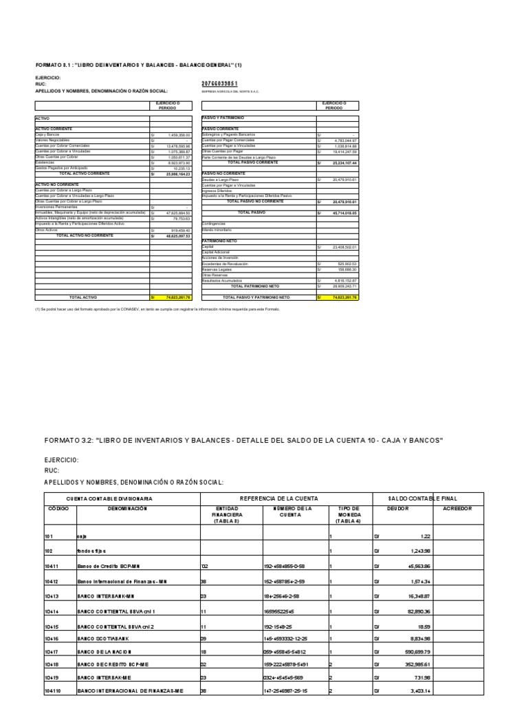 Formato3.1 Libro de Inventarios y Balances - Sunat | PDF