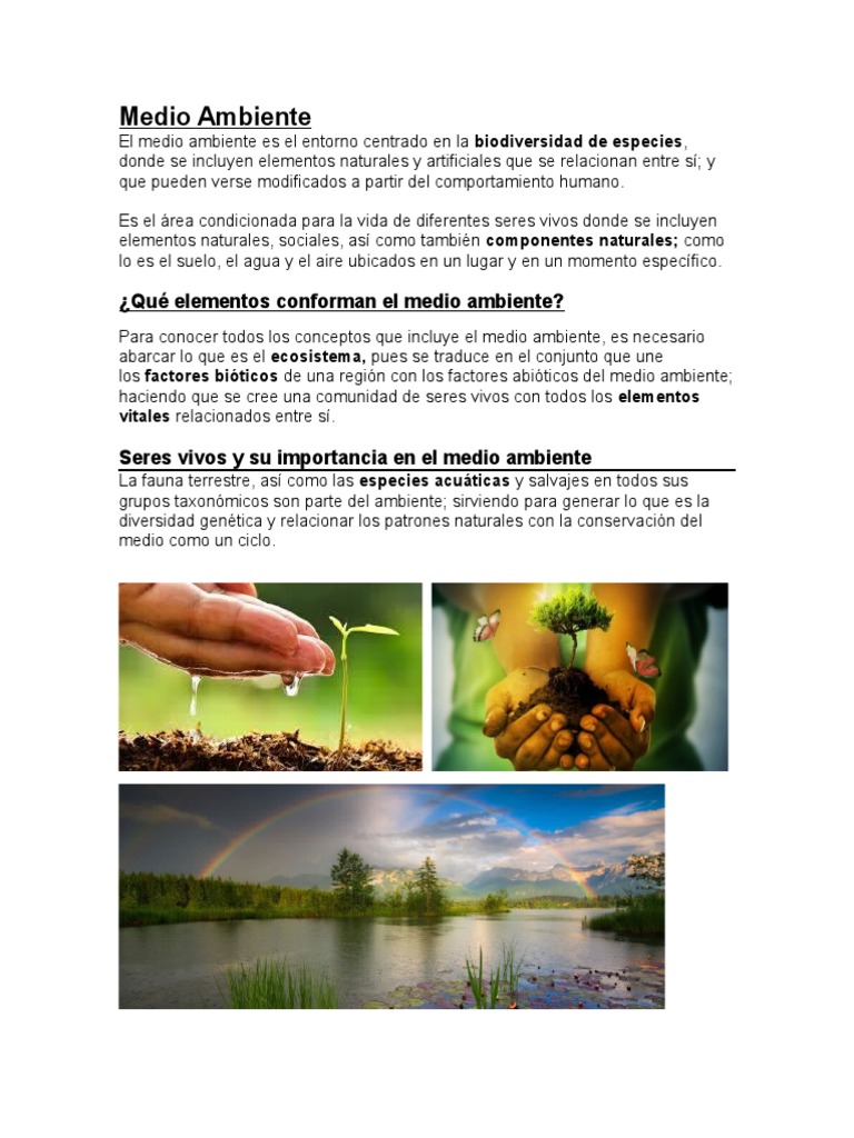 Medio Ambiente | PDF | Ciencia y matemáticas