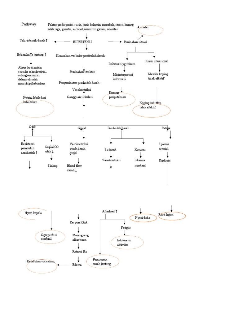 Pathway Hipertensi | PDF