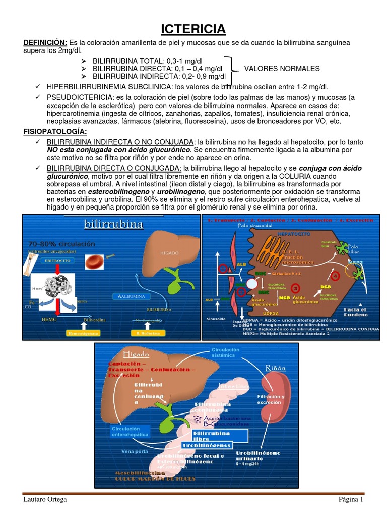 7 Ictericia PDF | PDF