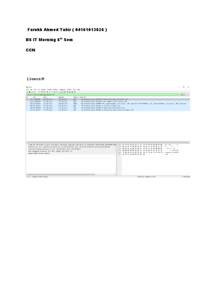 DNS Queries and IP Address Analysis | PDF