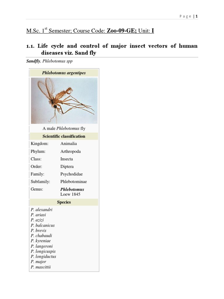 Sand Fly PDF | PDF | Insects | Organisms