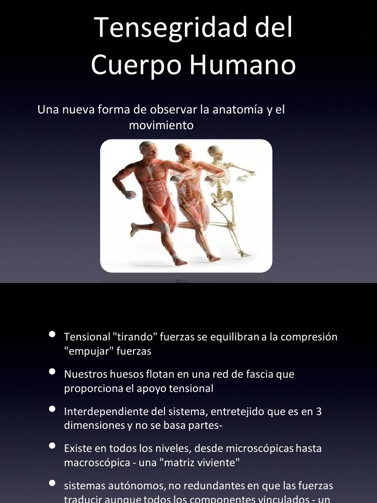 Tensegrity of The Human Body PDF | PDF