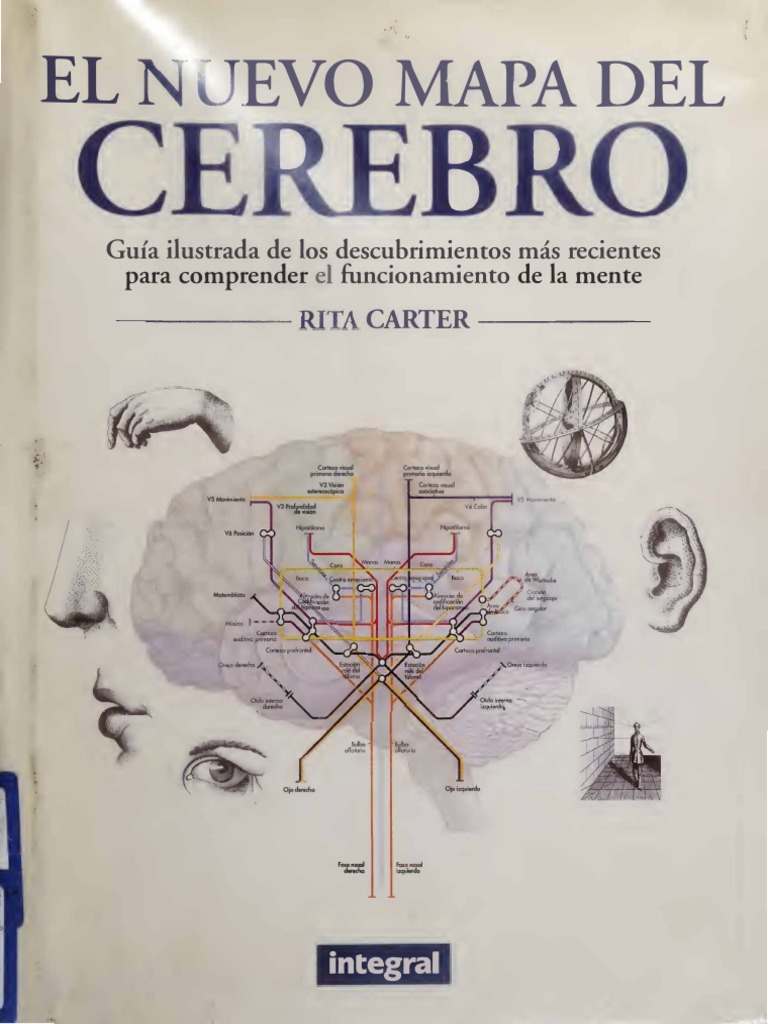 El Nuevo Mapa Del Cerebro 1998 Rita Cart PDF | PDF | Sinapsis | Cerebro