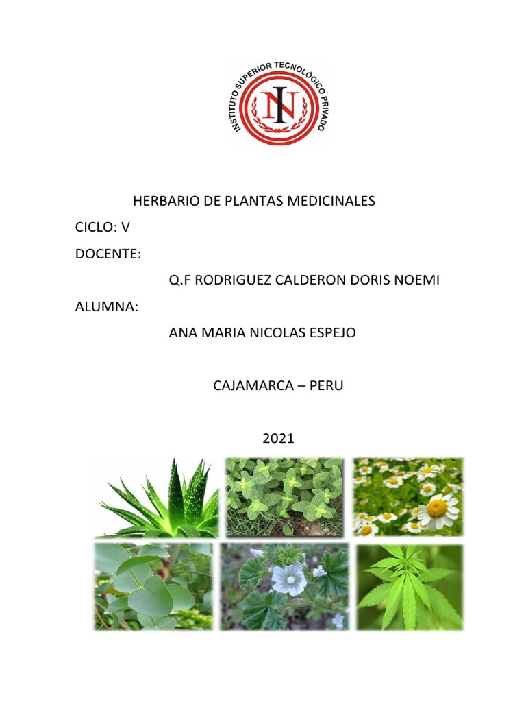 Herbario de Plantas Medicinales | PDF | Salud y bienestar