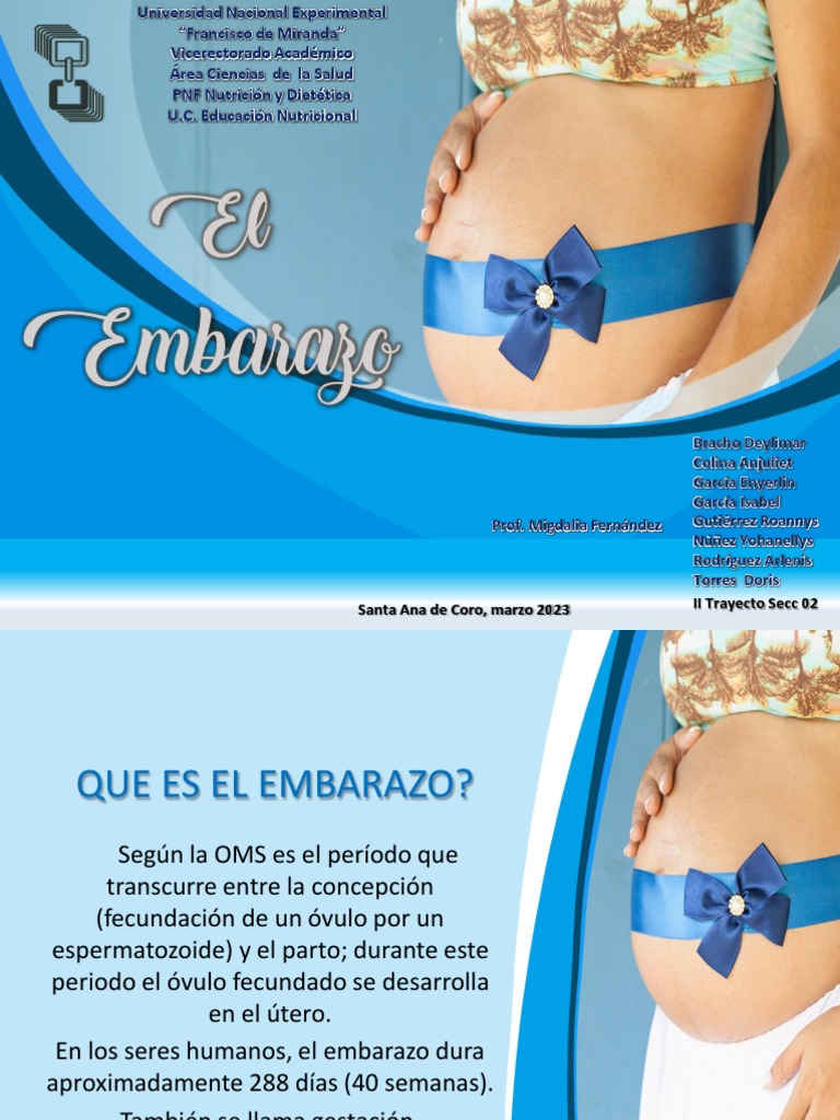 Embarazo PDF | PDF
