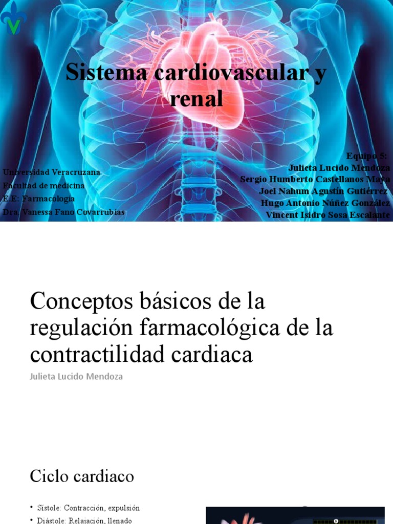 Sistema cardiovascular y renal: Conceptos básicos de la regulación ...