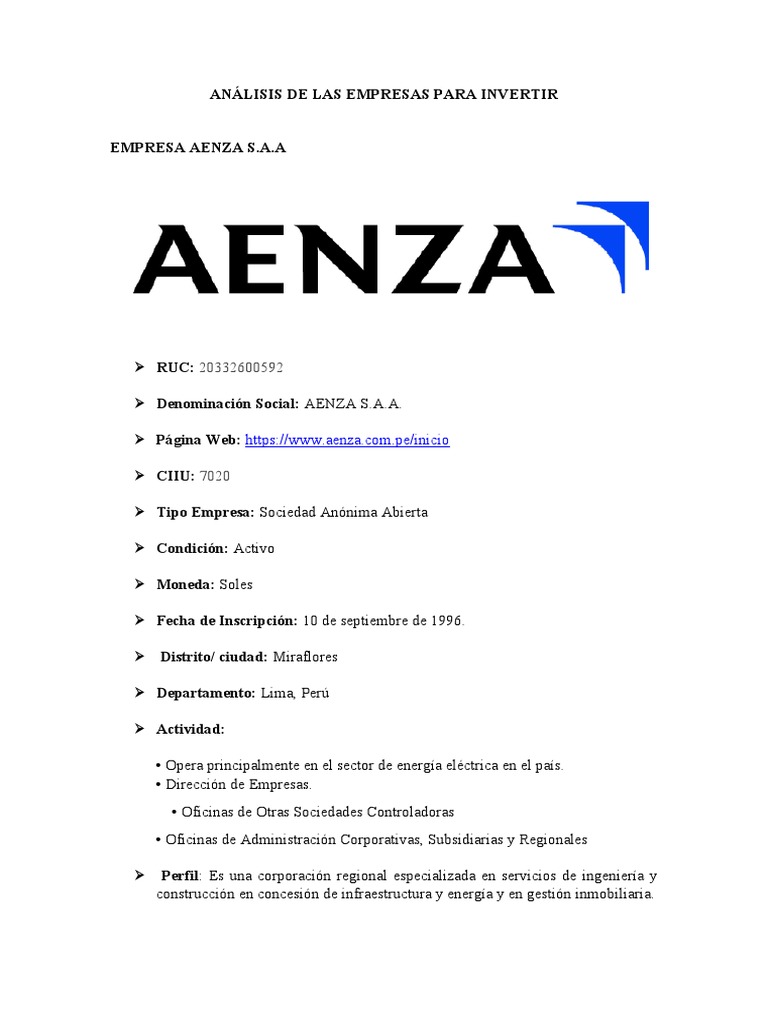 Analisis de La Empresa Aenza | PDF