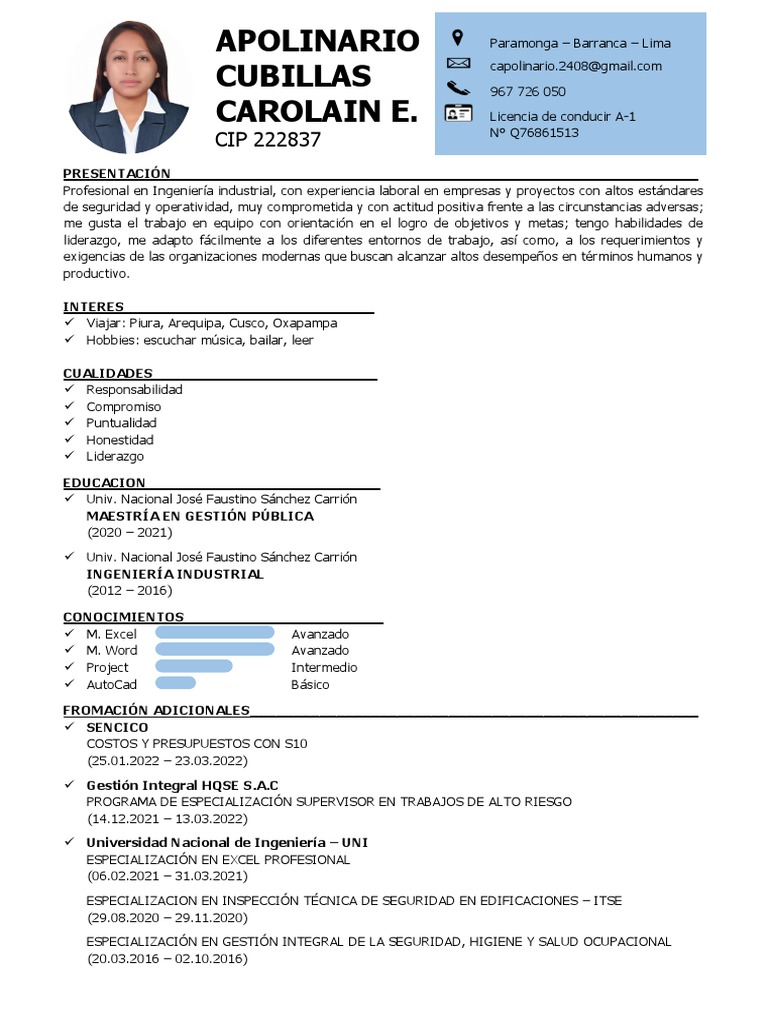 Modelo CV PDF | PDF | Business | Economias