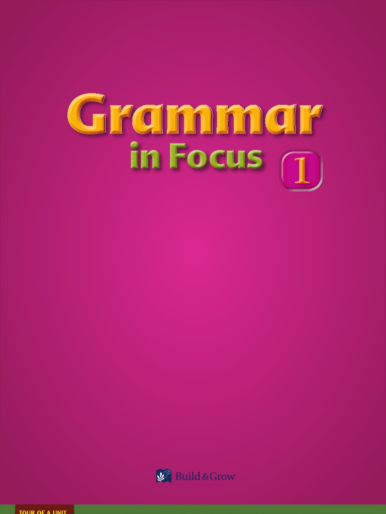 Grammar in Focus 1 | PDF | Verb | Noun