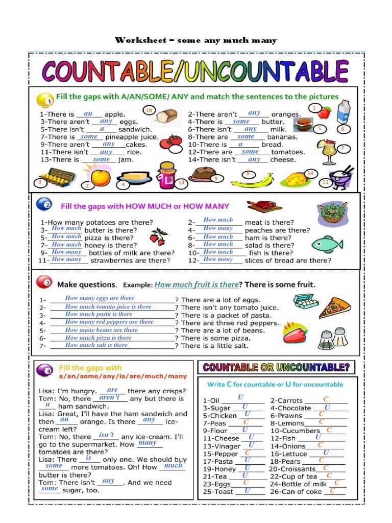 Worksheet - Some Any Much Many | PDF