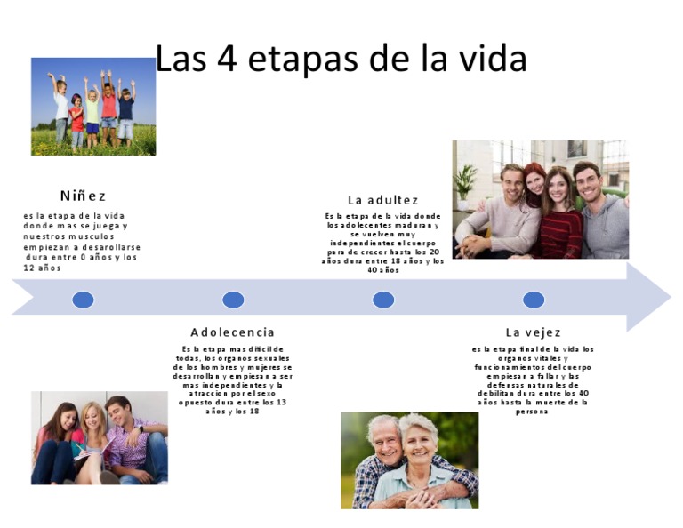 Linia de Tiempo de Las 4 Etapas de La Vida (TAREA) 7°C | PDF