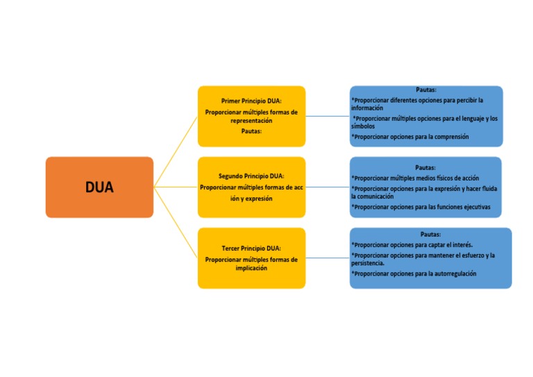Mapa Conceptual Del Dua | PDF