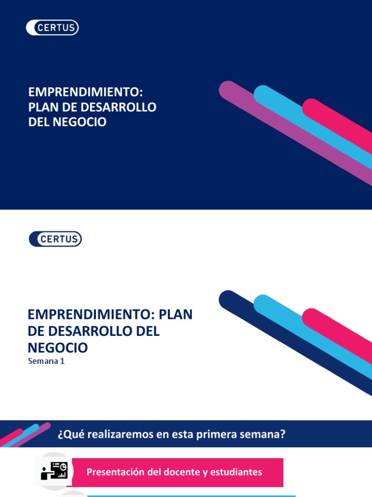 Plan de Negocio PDF | PDF