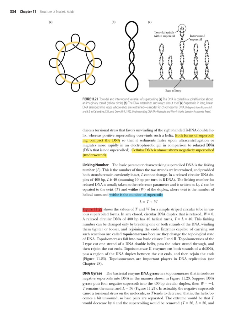 Biochemistry, fifth edition, Reginald H. Garrett-369-371.pdf | PDF