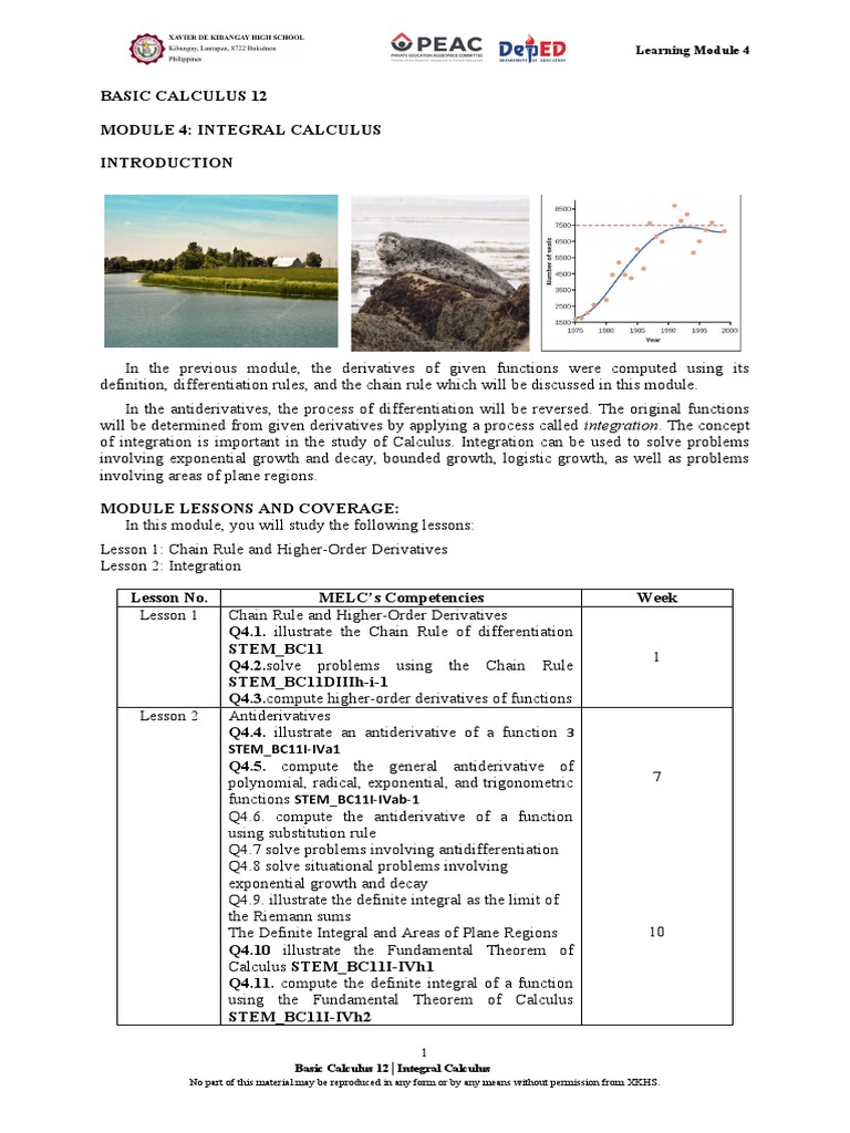 BASIC CALCULUS 11.docx | PDF