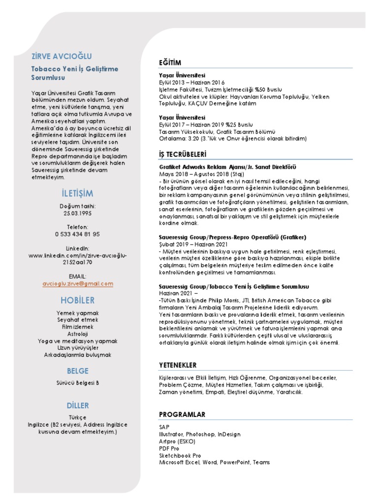 Zirve Avcıoğlu Resume Türkçe PDF | PDF