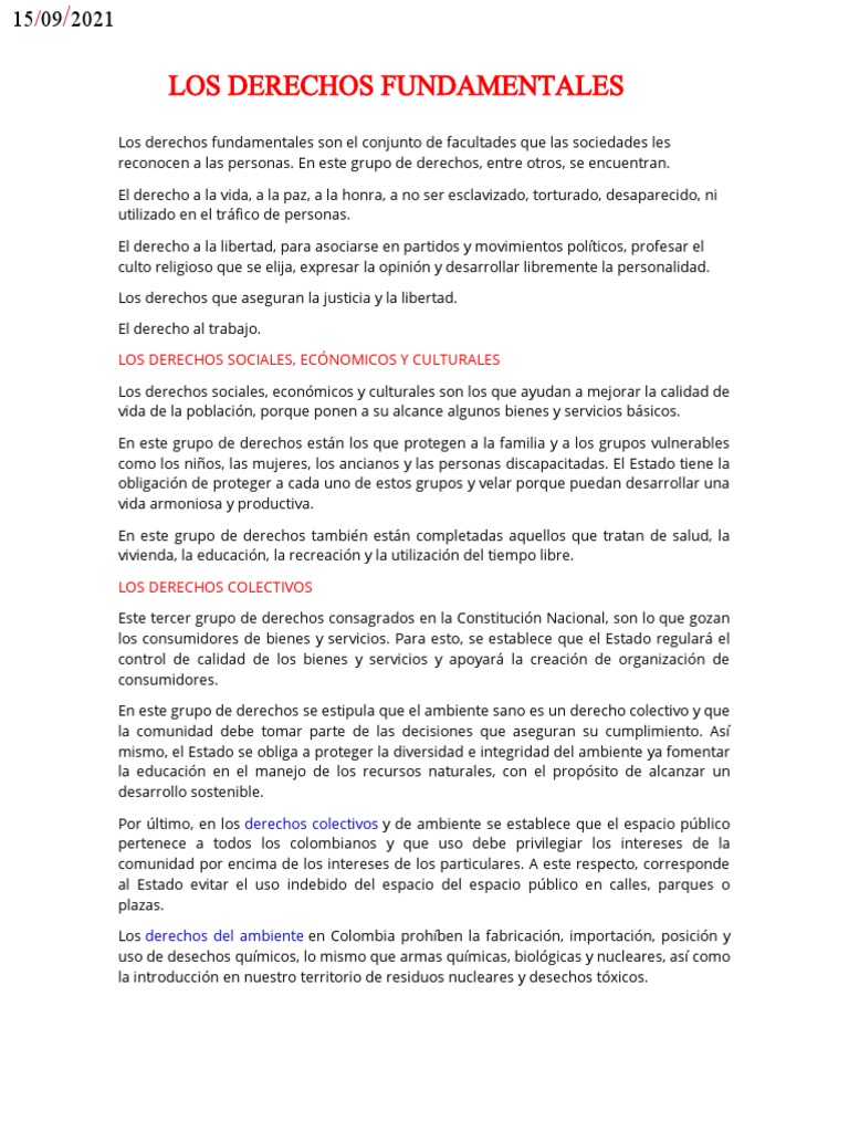 Los Derechos Fundamentales | PDF
