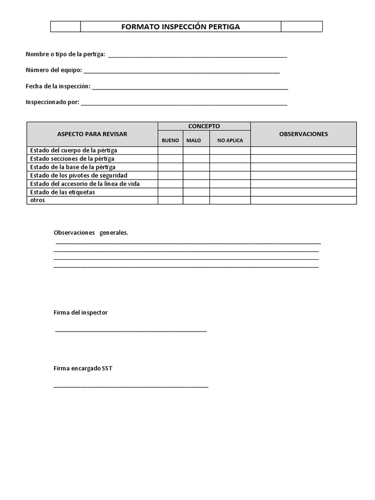 Formato inspeccion Petiga | PDF