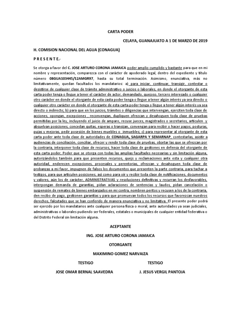 Carta Poder | PDF | Justicia | Crimen y violencia