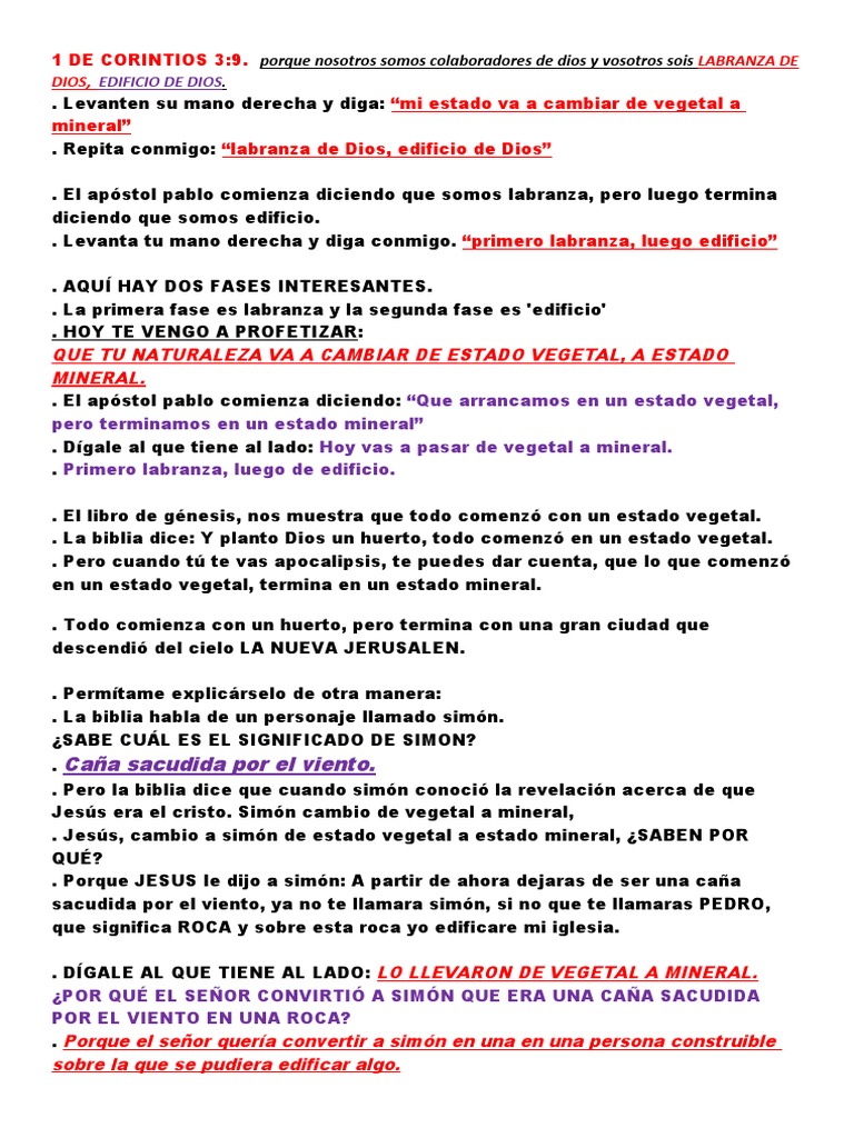 El Verdadero Discipulo | PDF