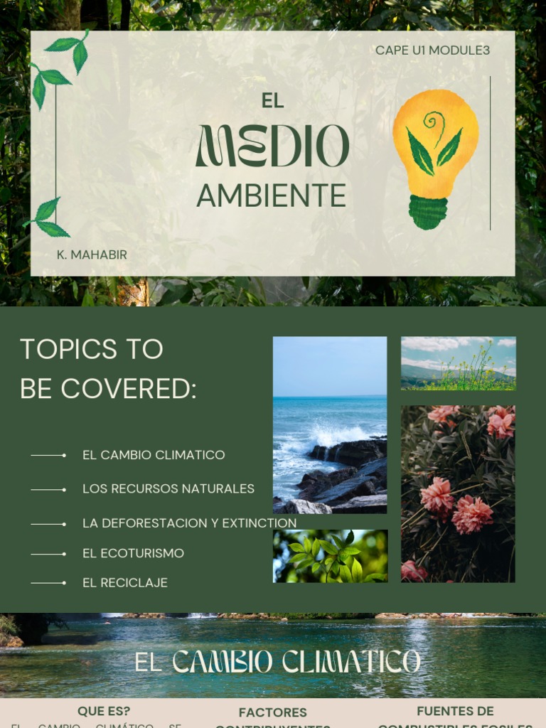 El Medio Ambiente Pdf Pdf