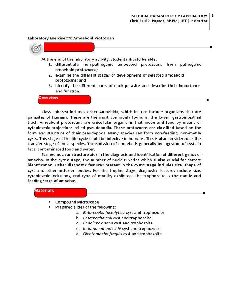 Amoeboid Protozoan Lab Guide | PDF | Organisms | Microbiology