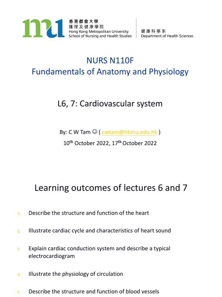 Understanding the Cardiovascular System: A Comprehensive Look at Heart ...