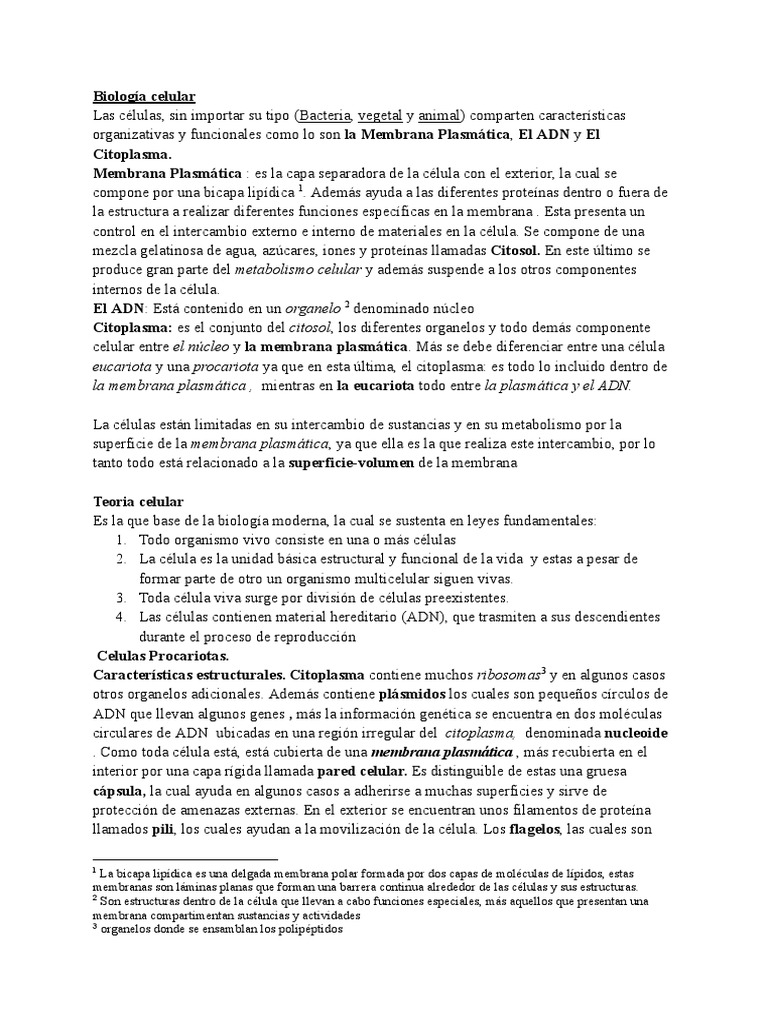 Resumen Capitulo 4 PDF | PDF