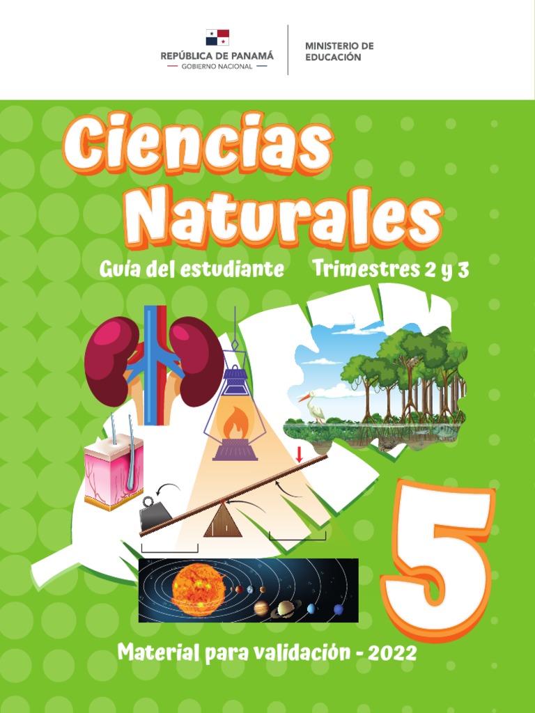 CN5 T2 Oei Web PDF | PDF