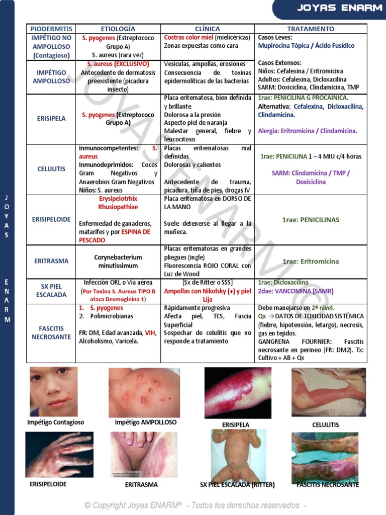Piodermitis (Impétigo, Erisipela, Celulitis, Erisipeloide, Eritrasma ...