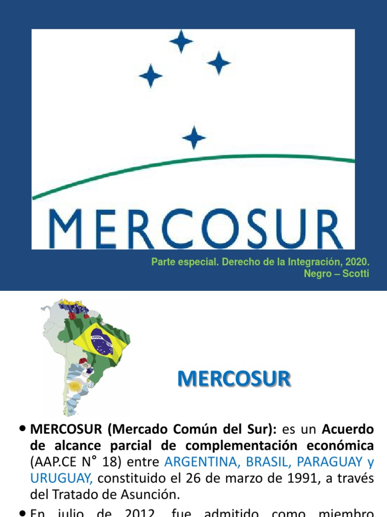 Mercosur | PDF