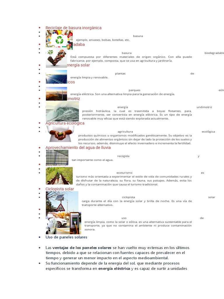 Saddy Tarea EESS | PDF