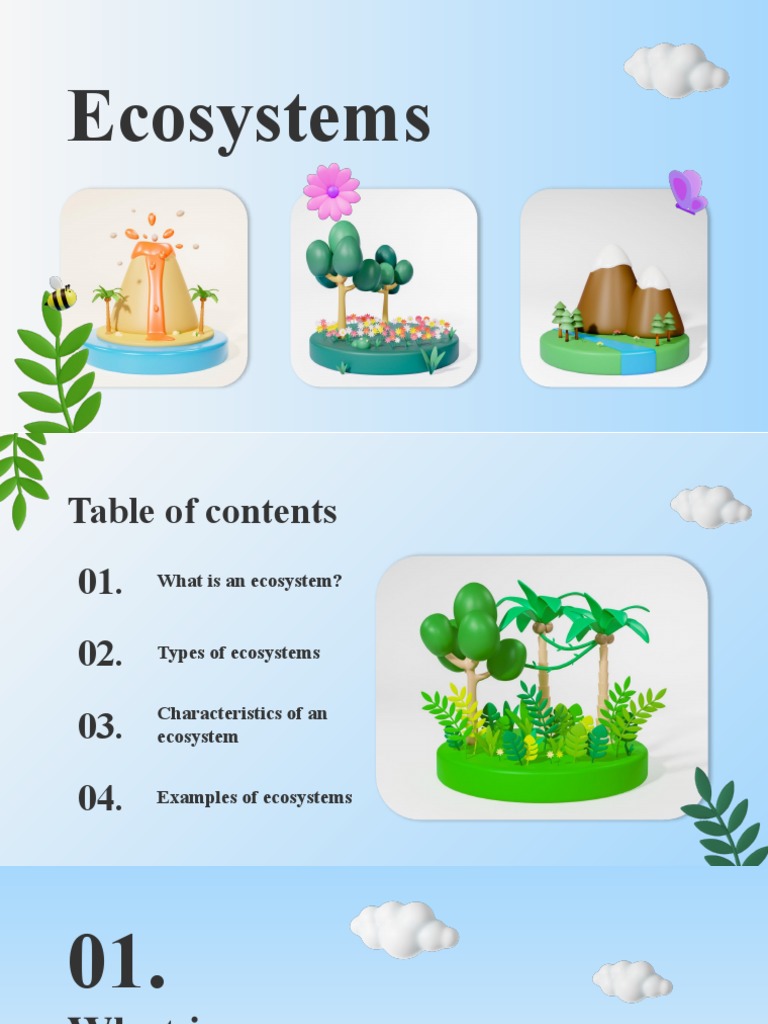 Ecosystems | PDF