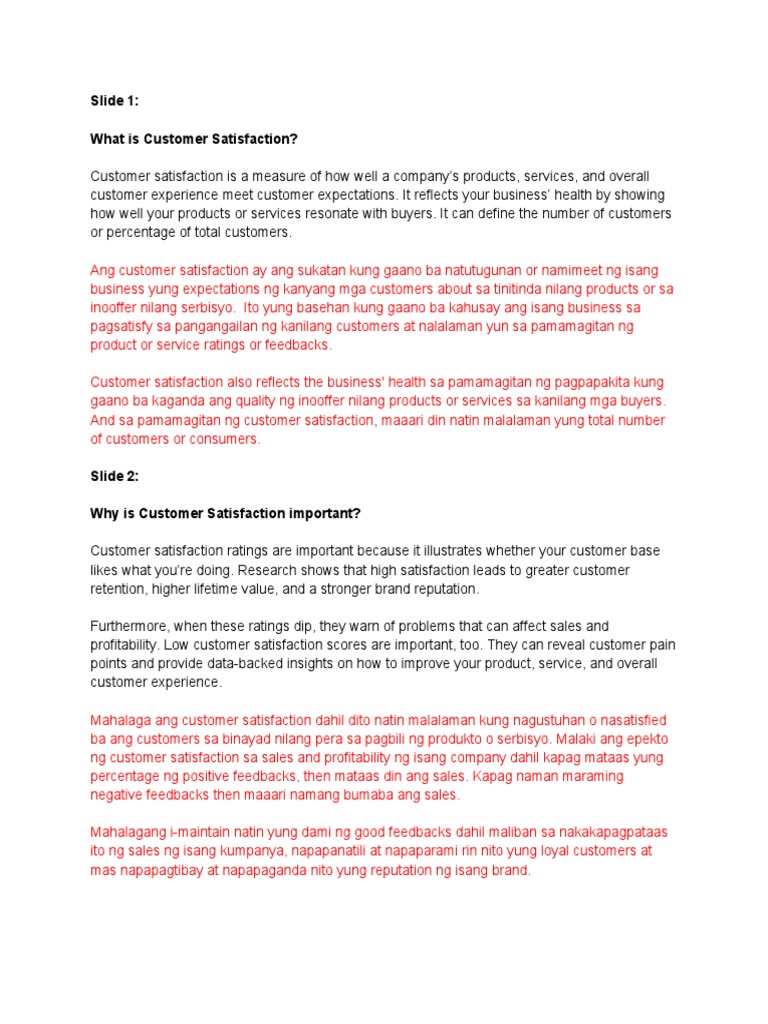 Customer Satisfaction Essentials | PDF