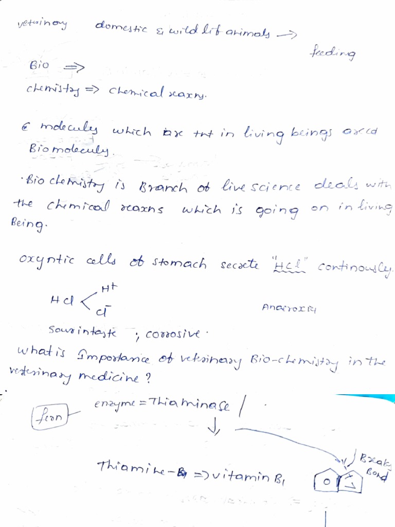 Bio Chem Notes 6-5-2023 PDF | PDF