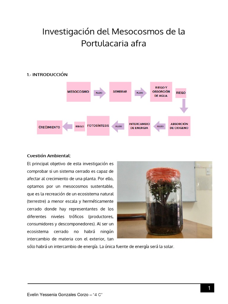 Impacto del Mesocosmos en Portulacaria Afra | PDF