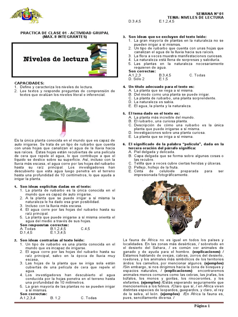 Semana #01 Niveles de La Lectura | PDF