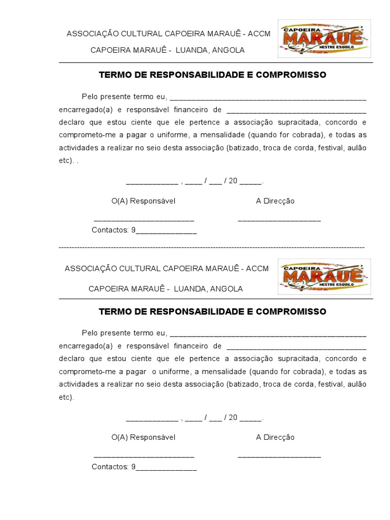 Termo de Responsabilidade e Compromisso PDF | PDF