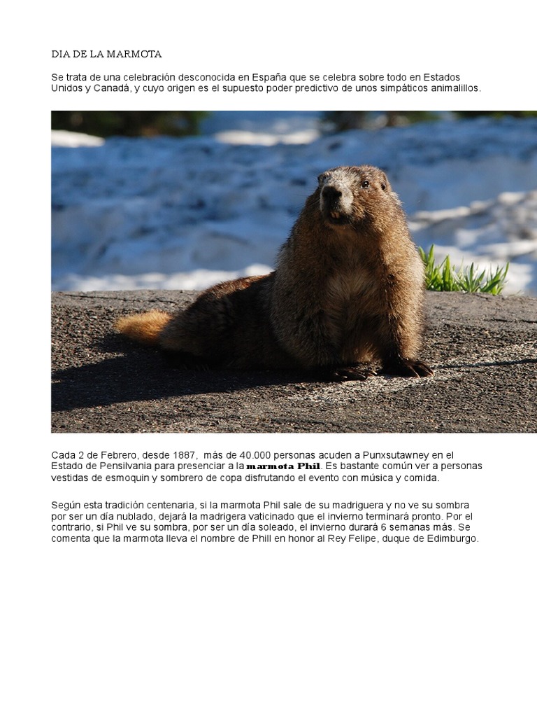 Dia de La Marmota PDF | PDF