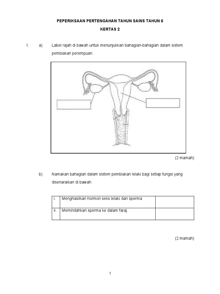 Latihan Sains Pembiakan Manusia Tahun 6 | PDF | Teknologi & Rekayasa